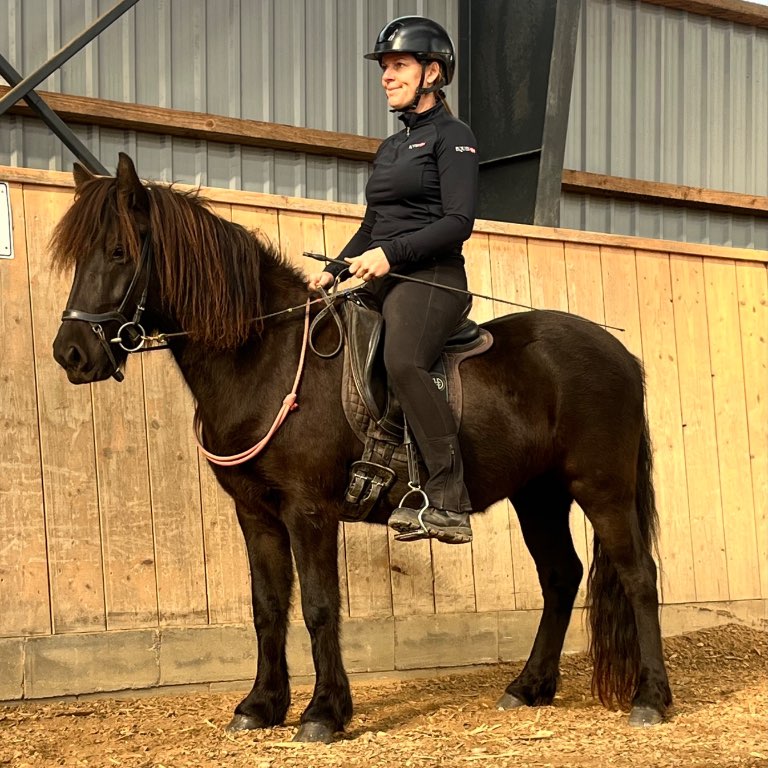 Isfaxi - køb og salg af islandske heste