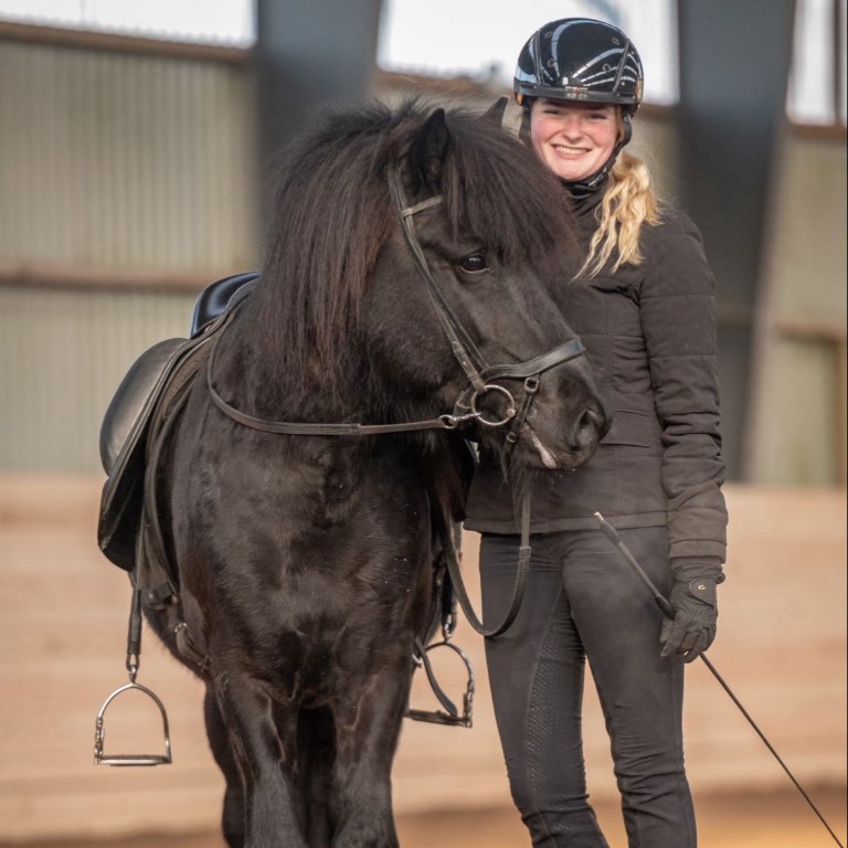 Isfaxi - køb og salg af islandske heste