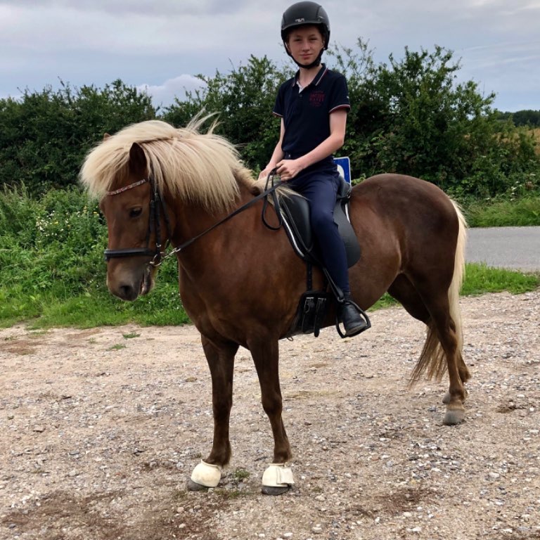 Isfaxi - køb og salg af islandske heste